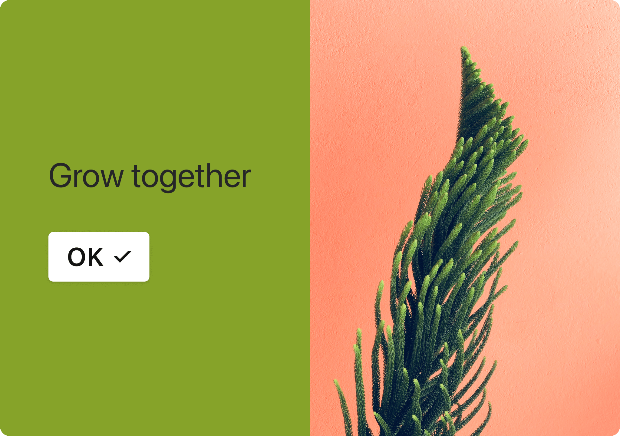 Step 1 3 Getting Started With Typeform Believe Supplements